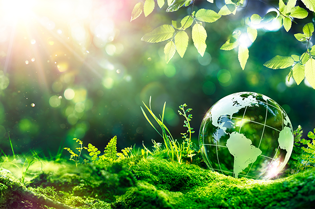 Saiba o que é Sustentabilidade e Desenvolvimento Sustentável | Piramidal